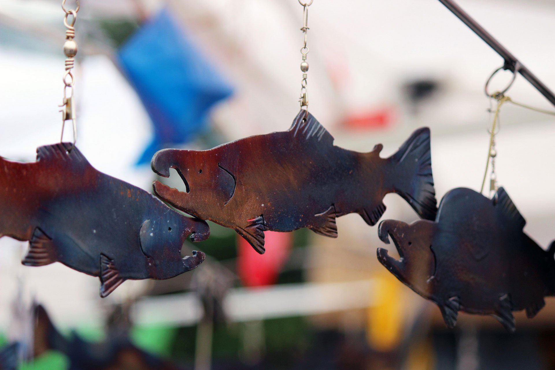 fish – Copper River Salmon Jam